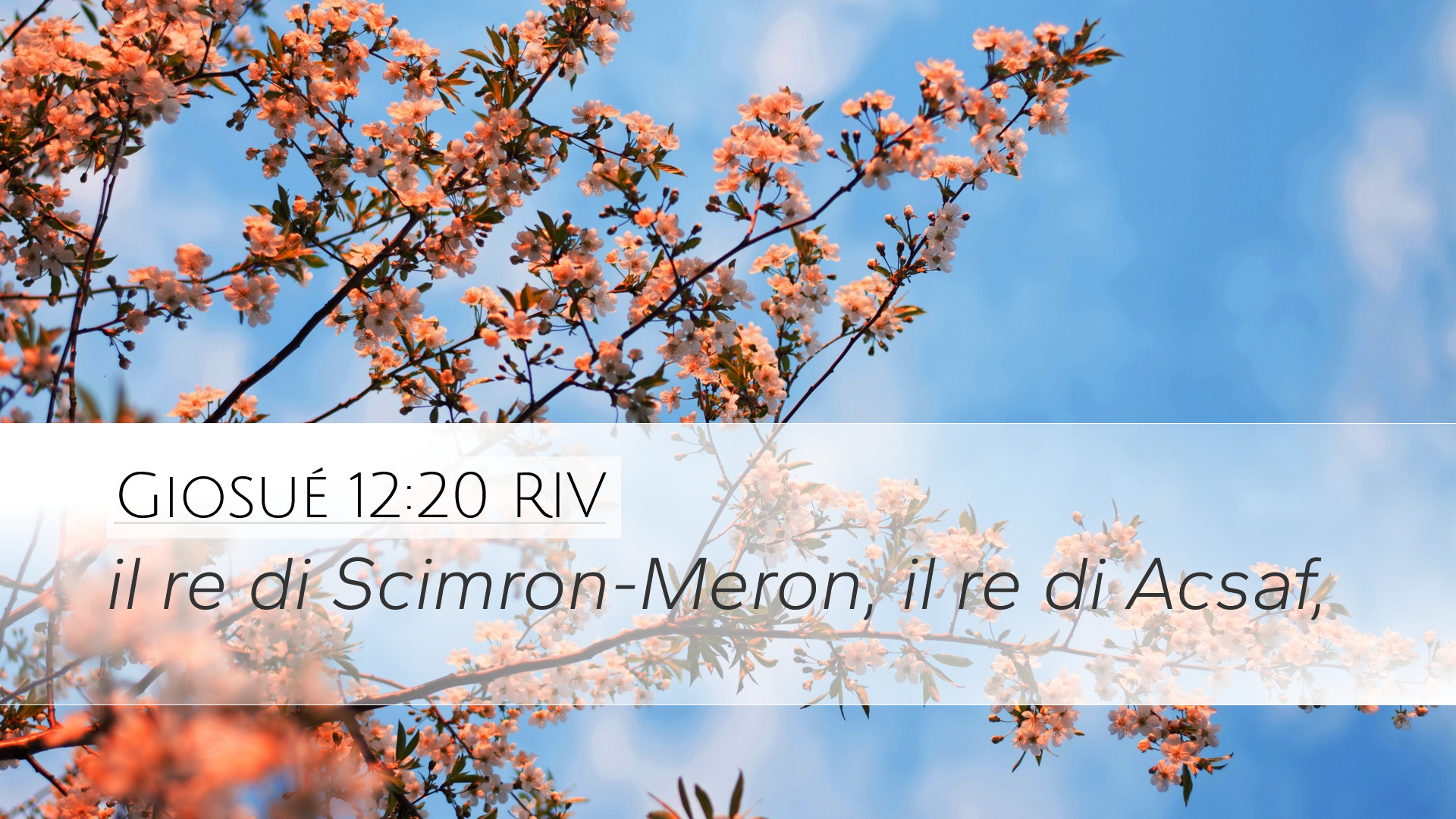 Giosué 12:20 RIV Desktop Wallpaper - il re di Scimron-Meron, il re di