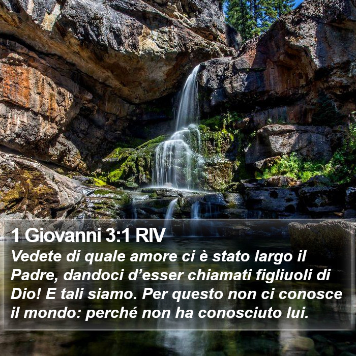 1 Giovanni 3:1 RIV - Vedete di quale amore ci è stato largo il Padre,