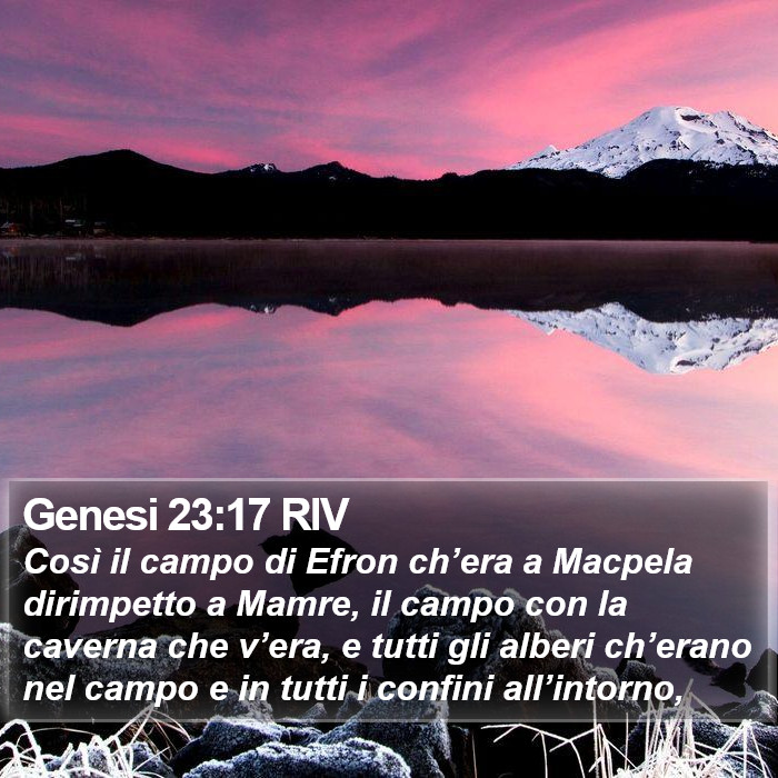 Genesi 23:17 RIV - Così il campo di Efron ch’era a Macpela