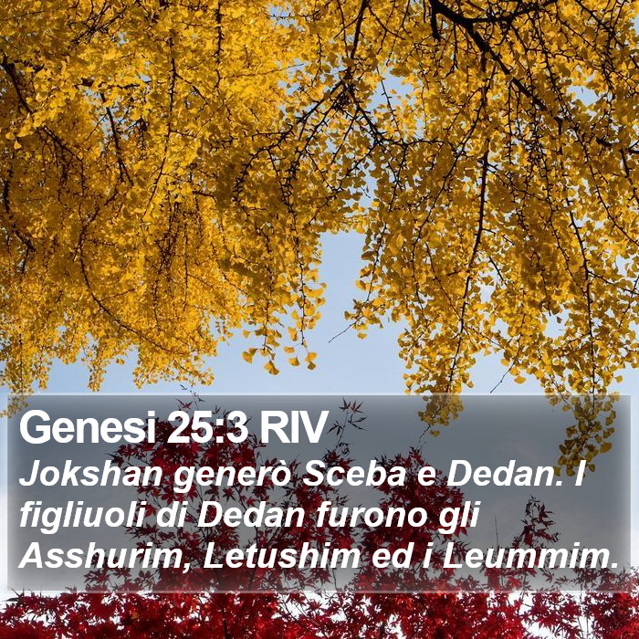 Genesi 25:3 RIV - Jokshan generò Sceba e Dedan. I figliuoli di
