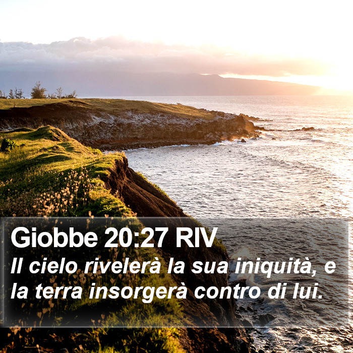 Giobbe 20:27 RIV - Il cielo rivelerà la sua iniquità, e la terra