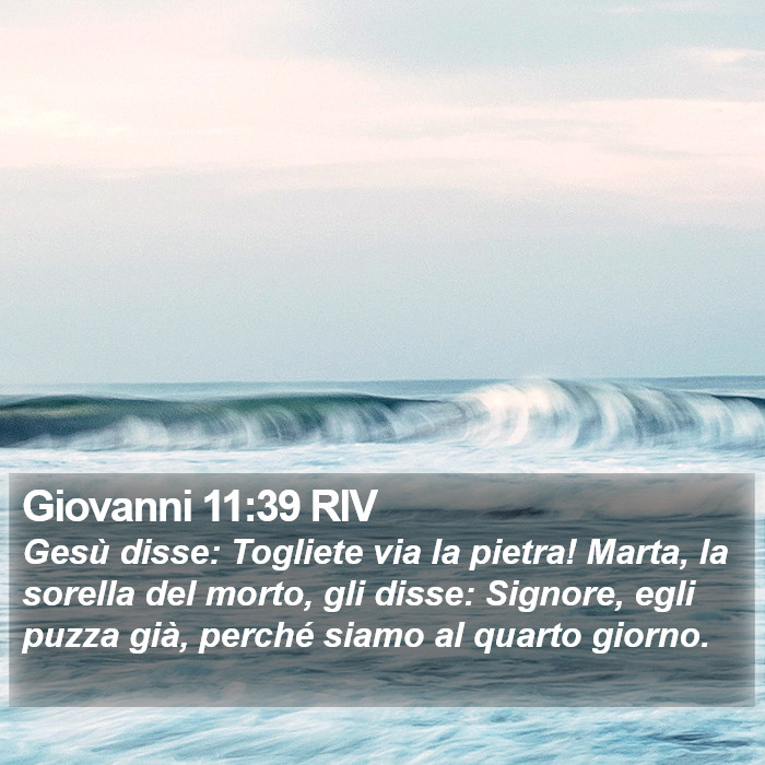 Giovanni 11:39 RIV - Gesù disse: Togliete via la pietra! Marta, la