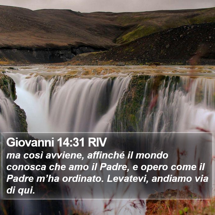 Giovanni 14 Bible Images - Giovanni Chapter 14 RIV Bible Verse Pictures