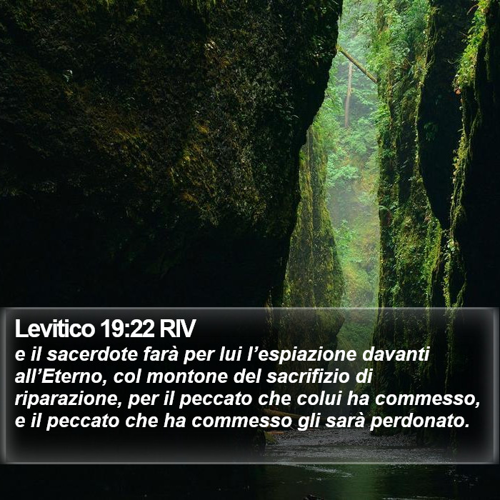Levitico 19:22 RIV - e il sacerdote farà per lui l’espiazione