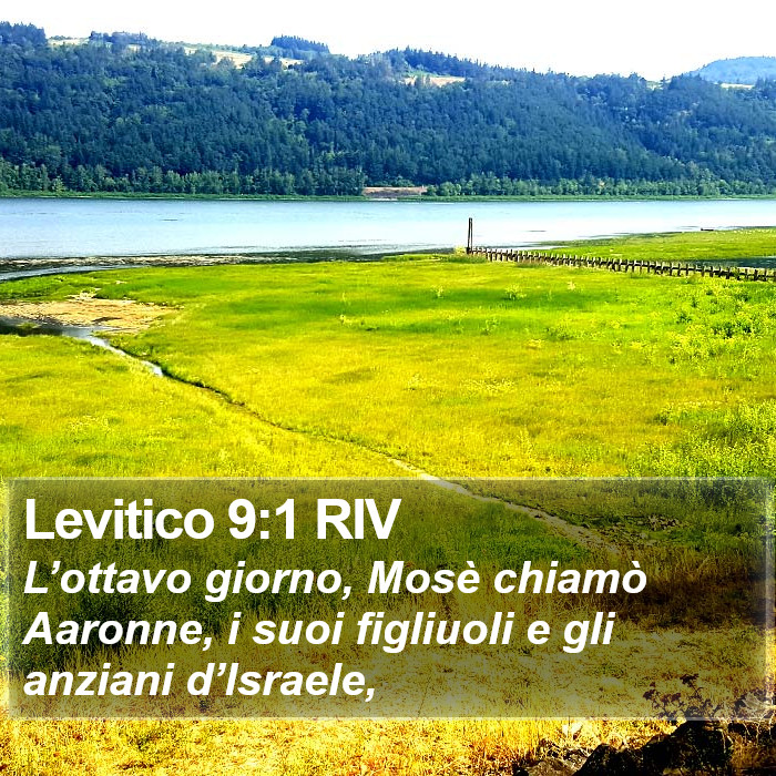Levitico 9:1 RIV - L’ottavo giorno, Mosè chiamò Aaronne, i suoi