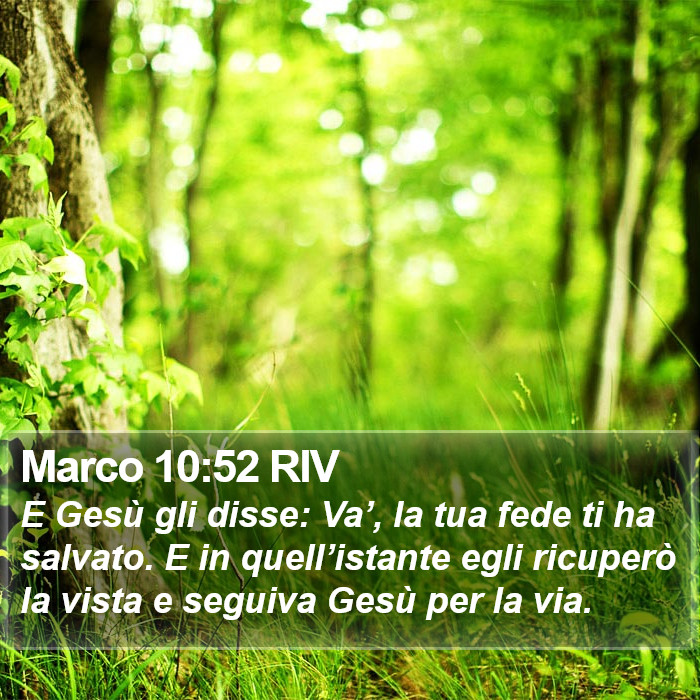 Marco 10 Bible Images - Marco Chapter 10 RIV Bible Verse Pictures