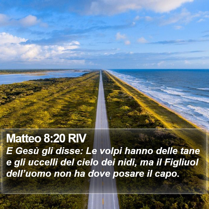 Matteo 8:20 RIV - E Gesù gli disse: Le volpi hanno delle tane e