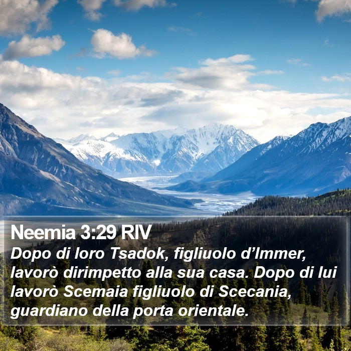 Neemia 3:29 RIV - Dopo di loro Tsadok, figliuolo d’Immer, lavorò