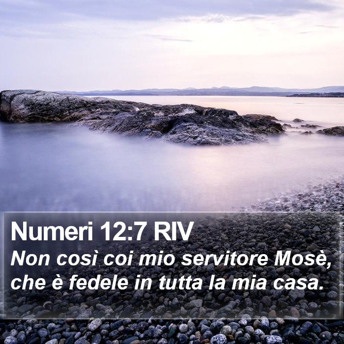 Numeri 12:7 RIV - Non così coi mio servitore Mosè, che è fedele