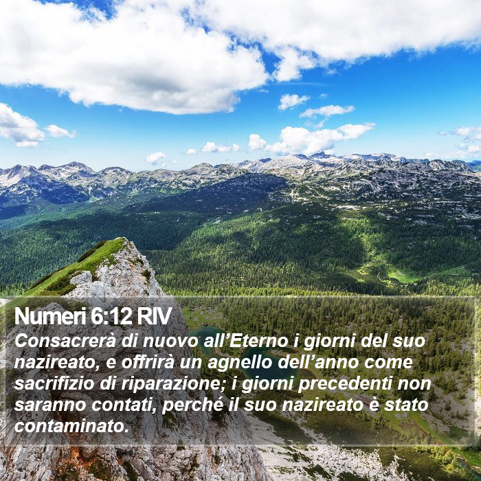 Numeri 6:12 RIV - Consacrerà di nuovo all’Eterno i giorni del