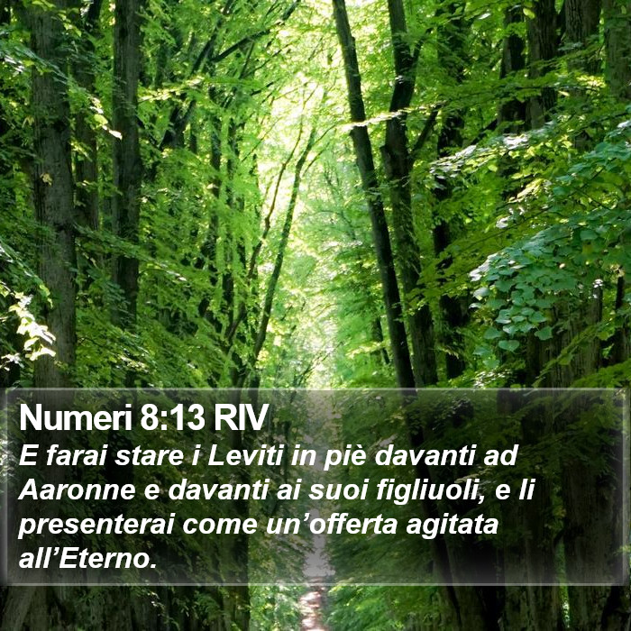 Numeri 8:13 RIV - E farai stare i Leviti in piè davanti ad Aaronne
